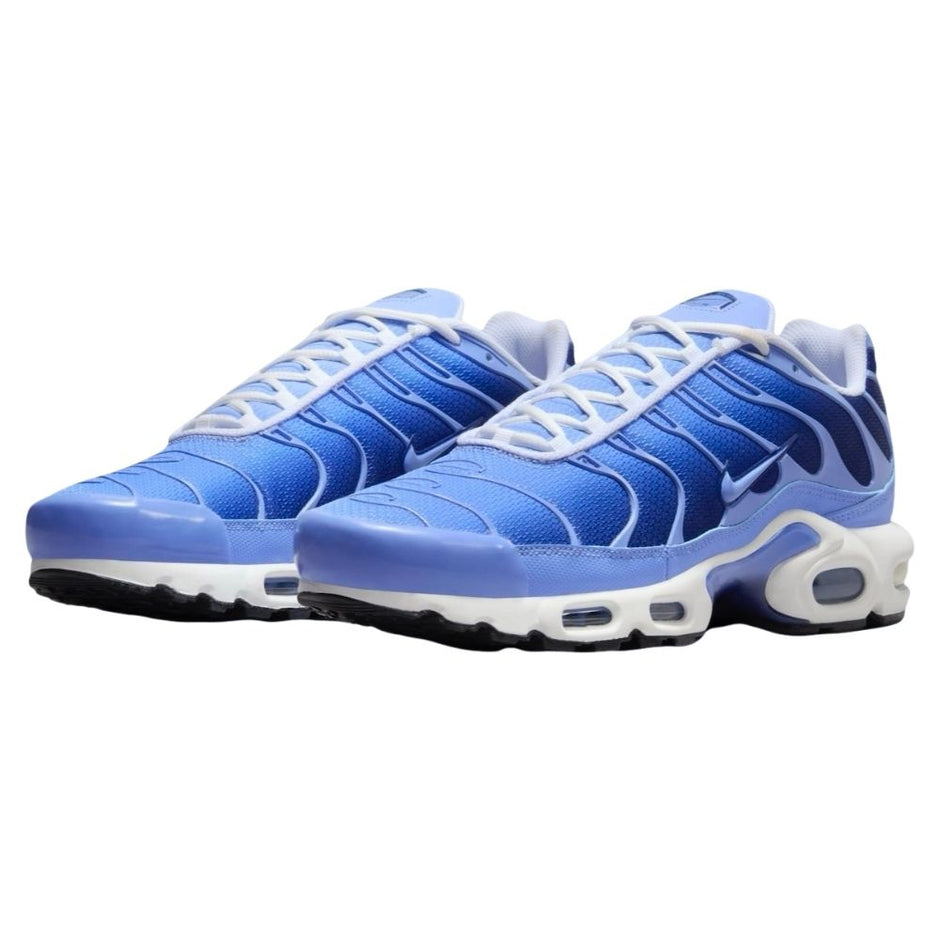 Blue Nike Tn's – Sleektrainers